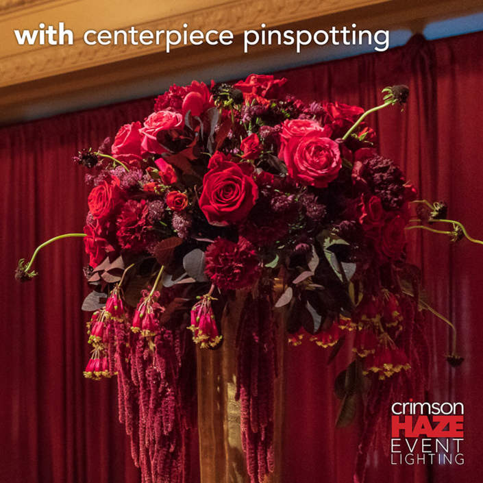 Pin-Spots and Surface Lights • Crimson Haze Event Lighting